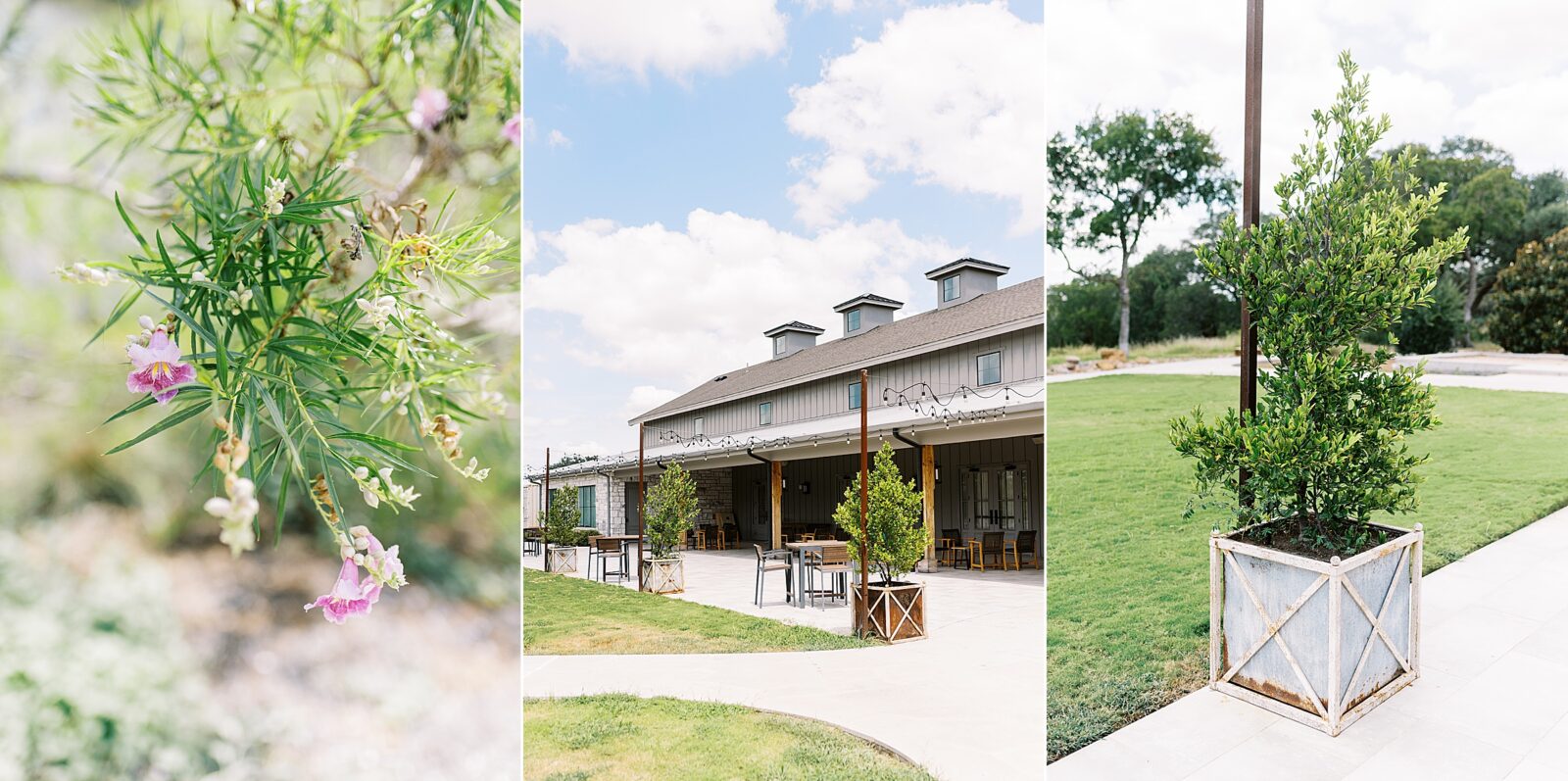 HighPointe Estate: Hill Country Venue Feature
